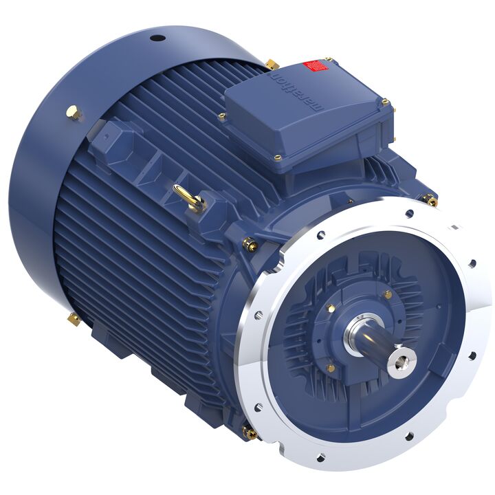 Cast Iron Motor, 120 HP, 3 Ph, 50 Hz, 400 V, 3000 RPM, 280M Frame, TEFC ...