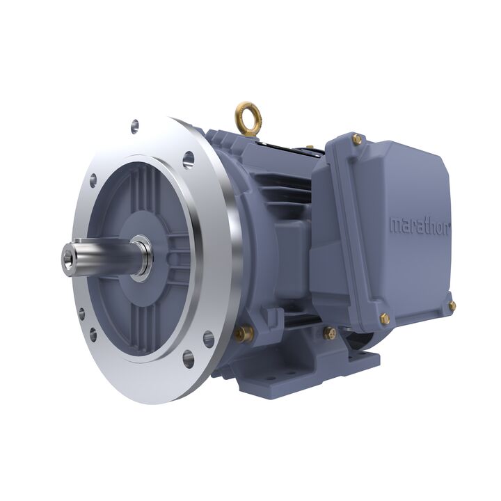 Cast Iron Motor, 3 HP, 3 Ph, 50 Hz, 400 V, 1000 RPM, 112M Frame, TEFC ...